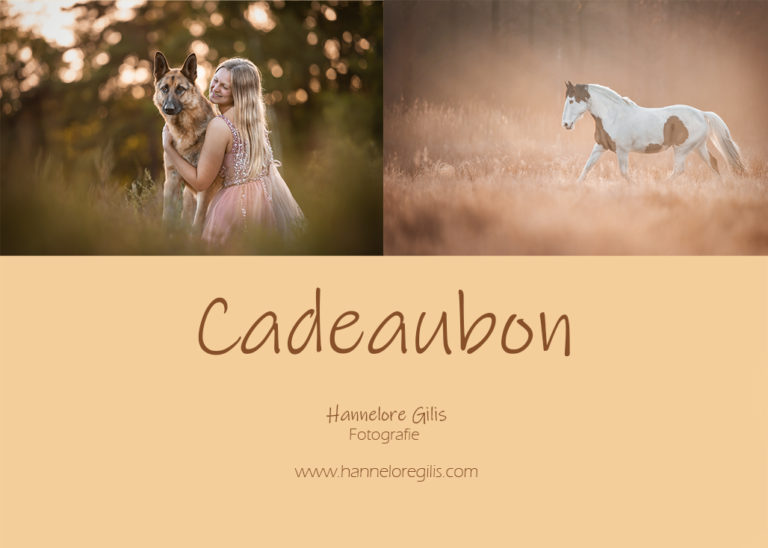 Cadeaubon fotoshoot | Paardenfotoshoot & hondenfotoshoot
