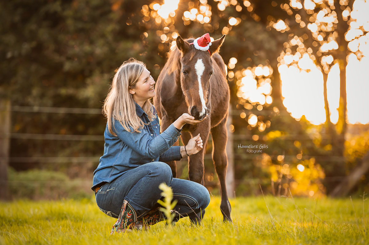 Western fotoshoot met veulen en paard | Veulenfotoshoot België